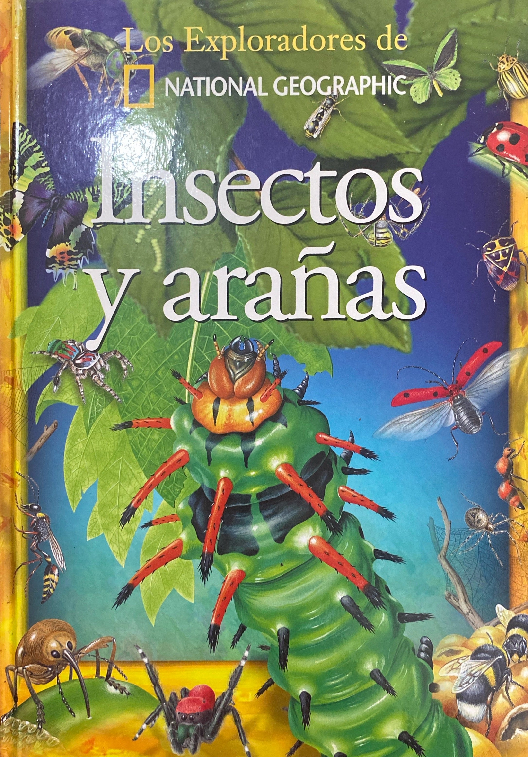 Libro Los exploradores de Insectos y arañas – Libros.ccs
