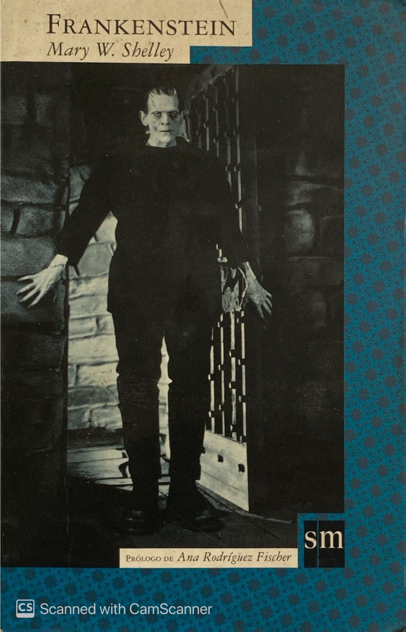 Frankenstein | Mary Shelley – Libros.ccs