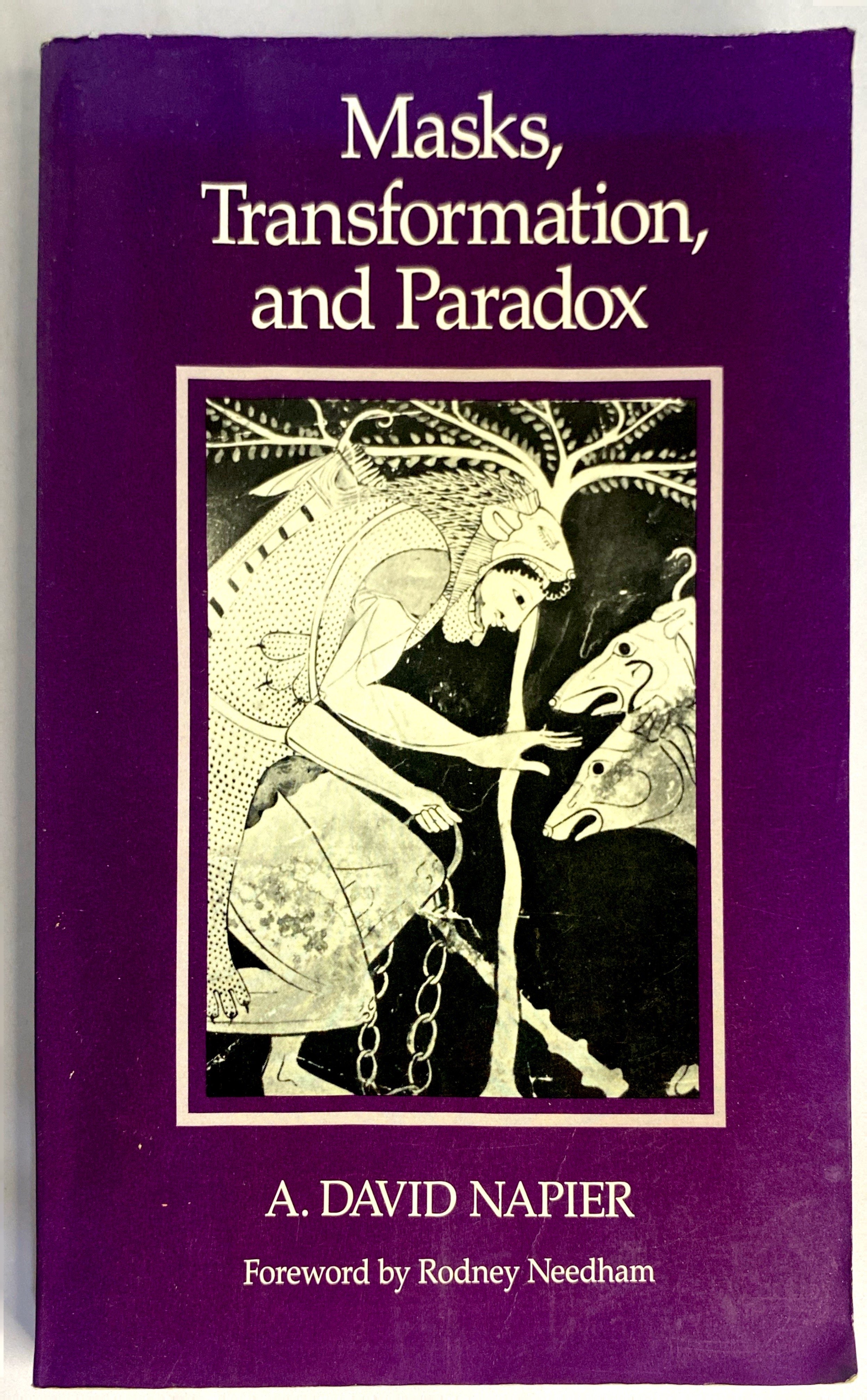 Libro Masks, Transformatio and Paradox de David Napier – Libros.ccs
