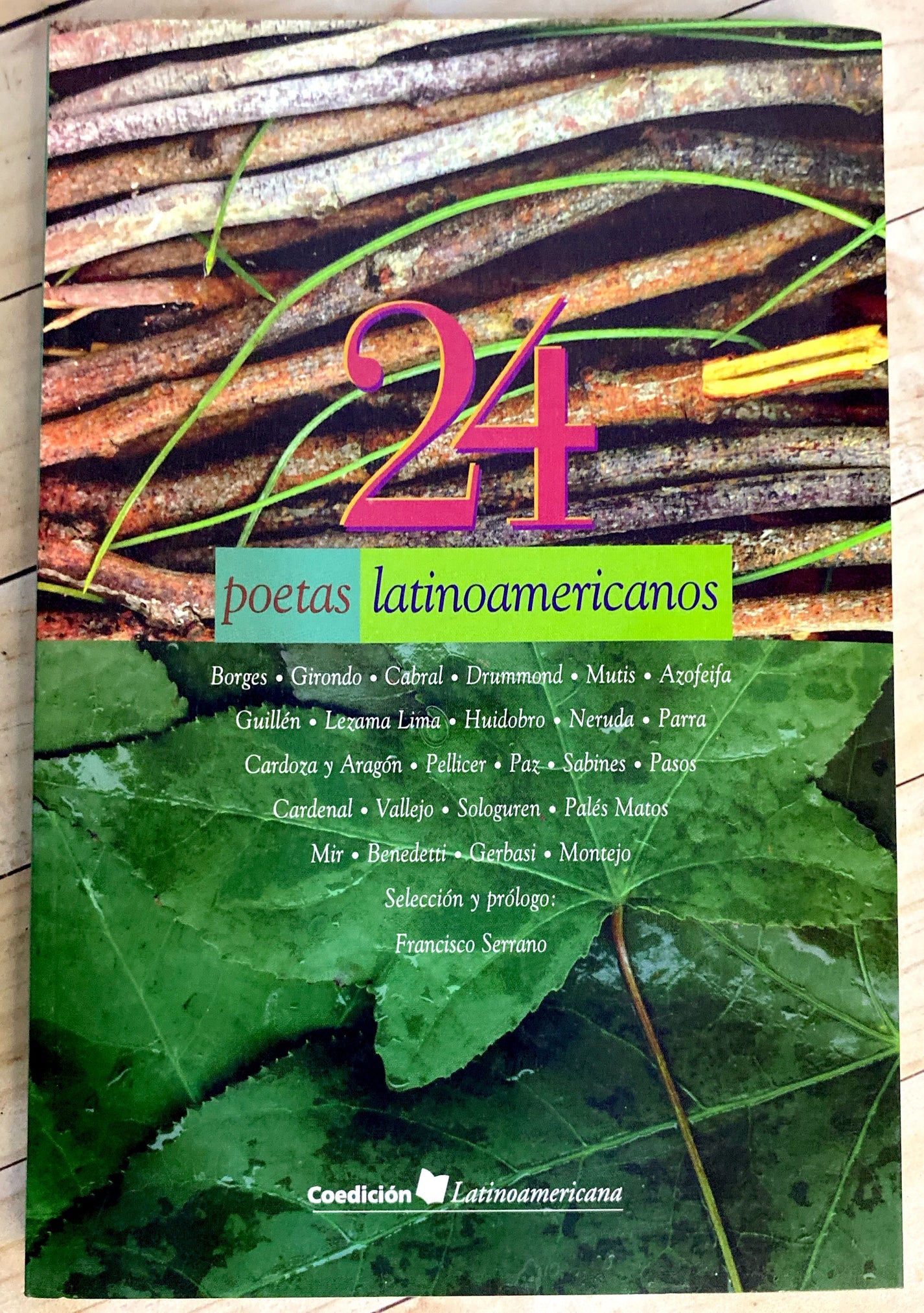 Libro 24 poetas latinoamericanos – Libros.ccs