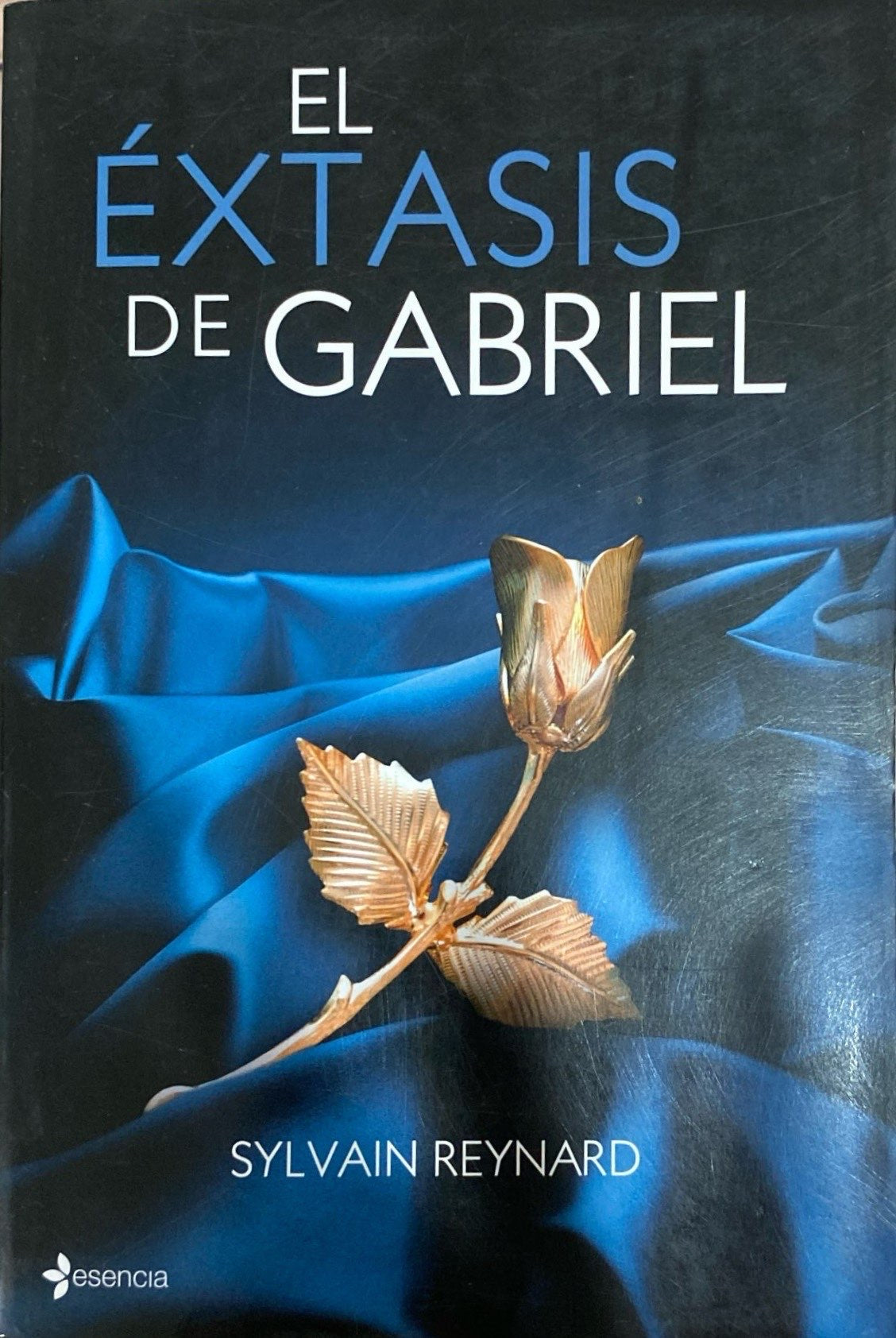 Libro El éxtasis de Gabriel de Sylvain Reynard – Libros.ccs