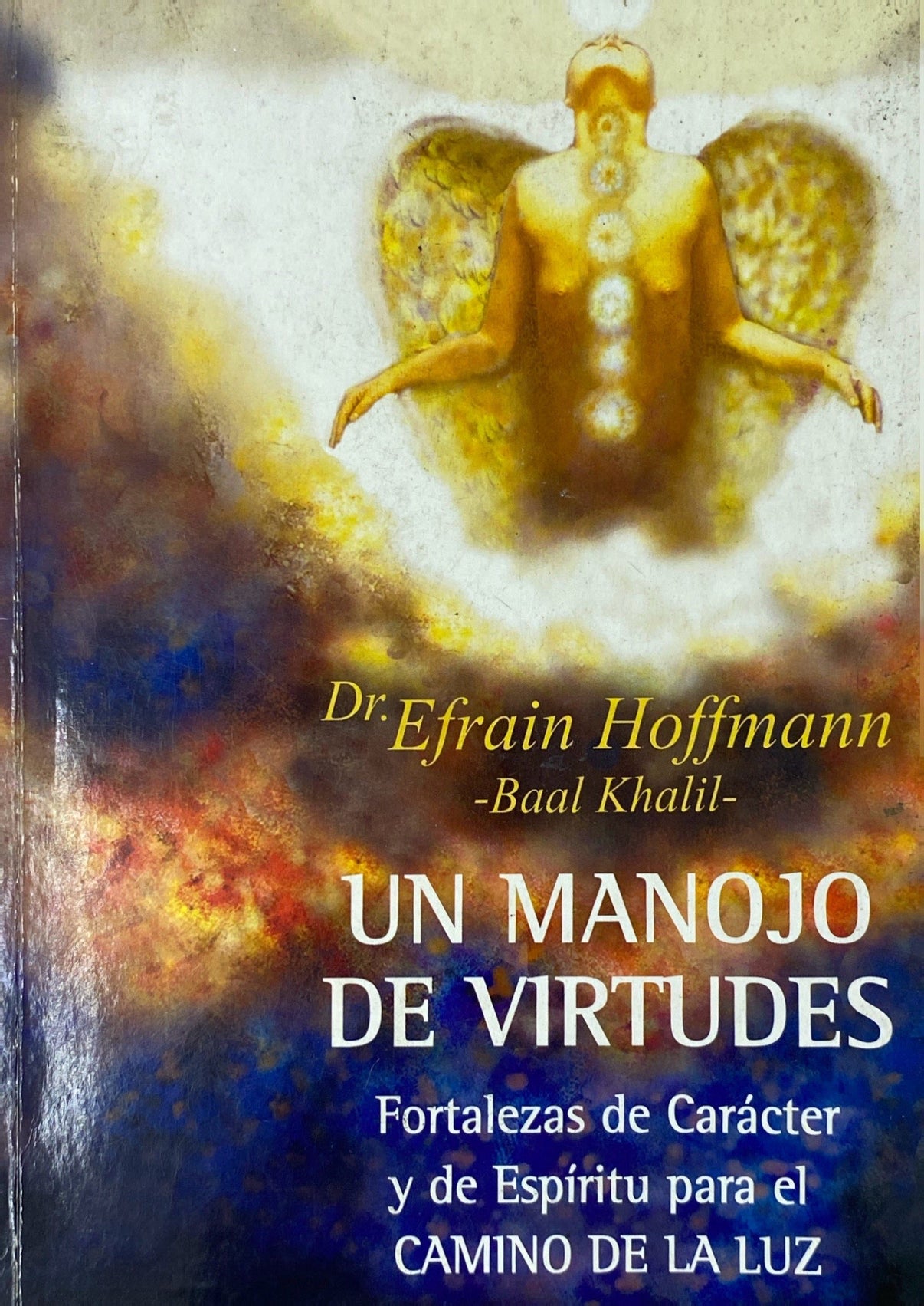 Libro Un manojo de virtudes de Efrain Hoffmann – Libros.ccs