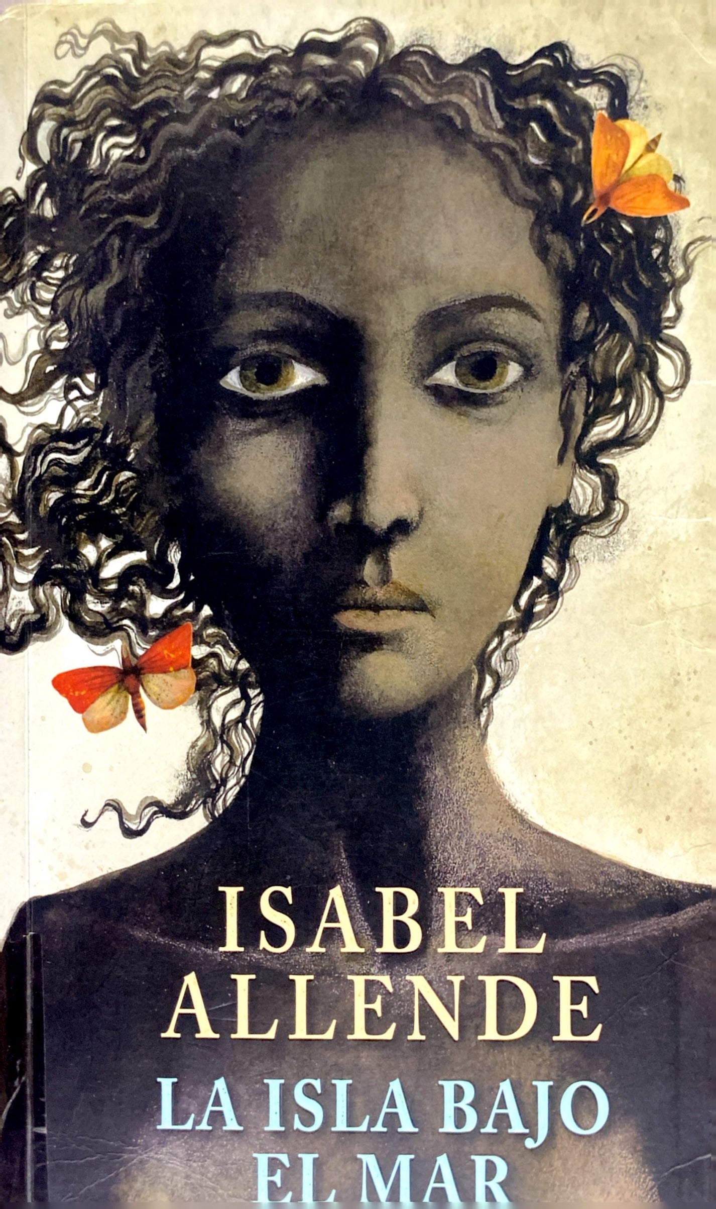 La isla bajo el mar | Isabel Allende – Libros.ccs